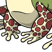 Anura Mutations | OviExtra: OviPets Fansite