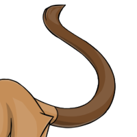 Catus Mutations | OviExtra: OviPets Fansite