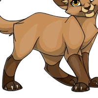 Catus Mutations | OviExtra: OviPets Fansite