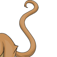 Catus Mutations | OviExtra: OviPets Fansite