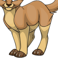 Catus Mutations | OviExtra: OviPets Fansite