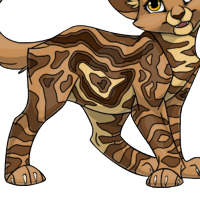 Catus Mutations | OviExtra: OviPets Fansite