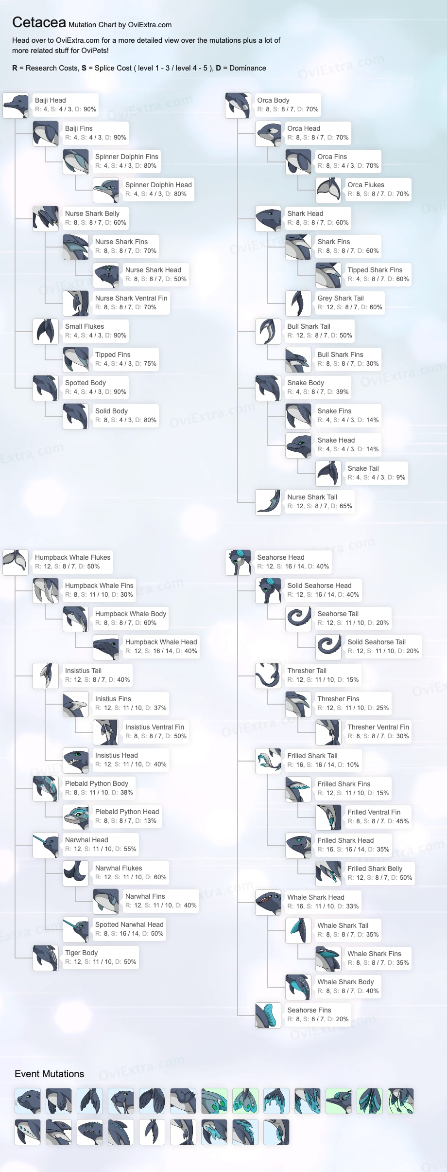 Cetacea Mutation chart image | OviExtra: OviPets Fansite