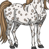 Equus Mutations | OviExtra: OviPets Fansite
