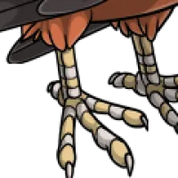 OviExtra: OviPets Fansite