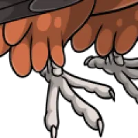 OviExtra: OviPets Fansite