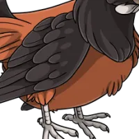 OviExtra: OviPets Fansite