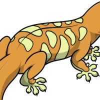 Gekko Mutations | OviExtra: OviPets Fansite