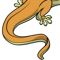 Gekko Mutations | OviExtra: OviPets Fansite