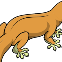 Gekko Mutations | OviExtra: OviPets Fansite