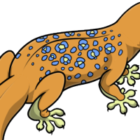 Gekko Mutations | OviExtra: OviPets Fansite