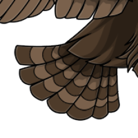 Haliaeetus Mutations | OviExtra: OviPets Fansite