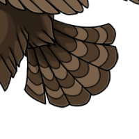 Haliaeetus Mutations | OviExtra: OviPets Fansite