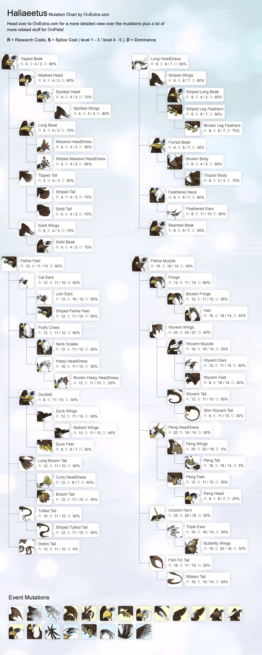 Haliaeetus Mutation chart image | OviExtra: OviPets Fansite