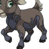 OviExtra: OviPets Fansite