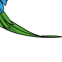 Psittaco Mutations | OviExtra: OviPets Fansite